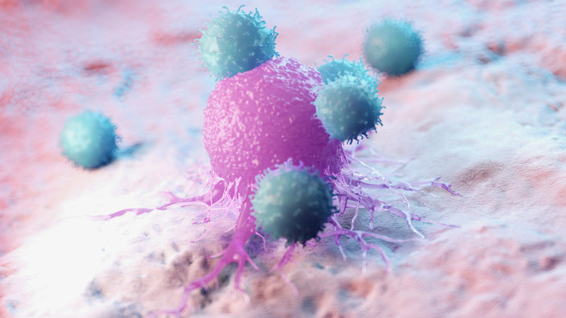 Does NMN Cause Cancer? Safety Concerns Examined – omre US