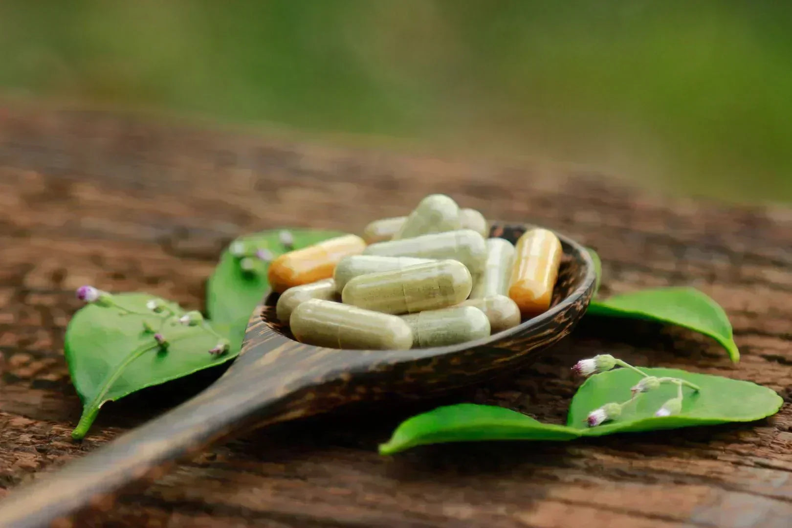 Why Take Quercetin with Bromelain? Absorption Benefits Explained – omre US