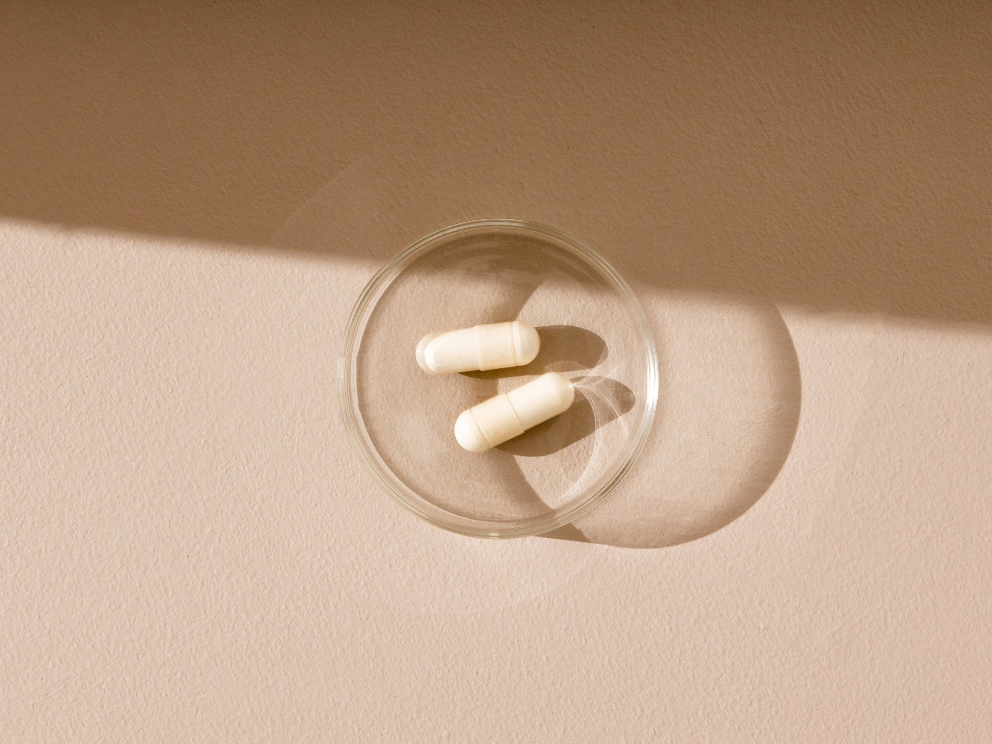 Can You Take Quercetin and NAC Together? Supplement Combination Guide ...